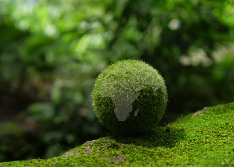 Navigating Green Transition Risks: Why Going Green Isn't Always Clean